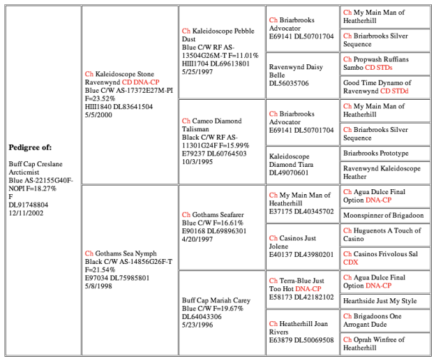 Swizzle | Buff Cap Aussies