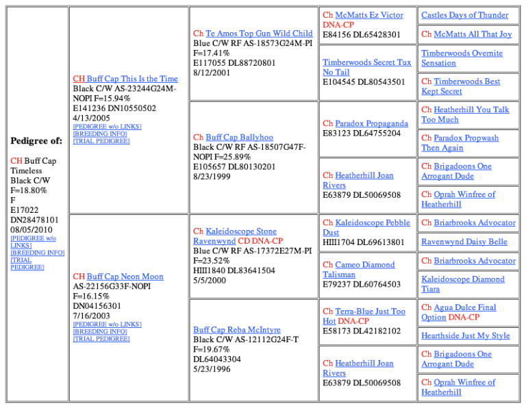 Miranda | Buff Cap Aussies